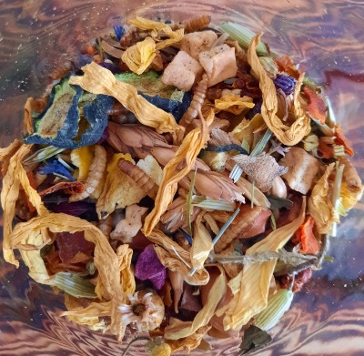 Natürliches Hamster Futter kaufen – Was du wissen solltest